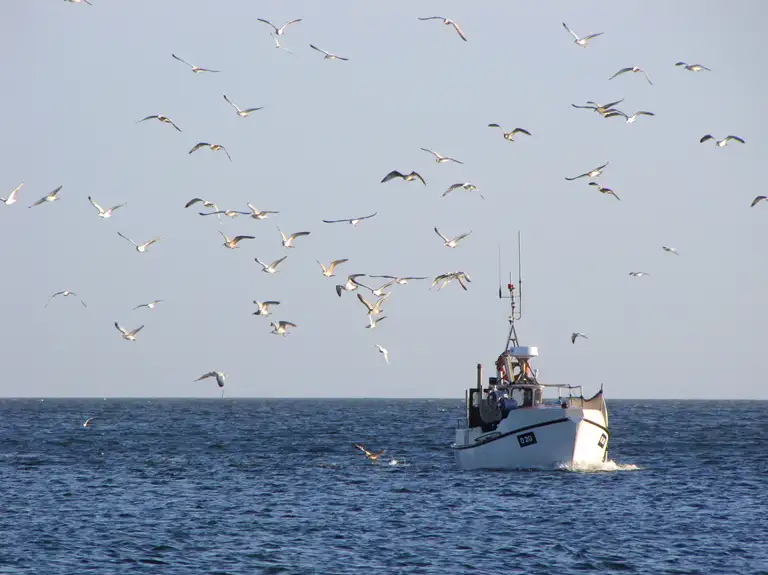 Forside - Ministeriet for Fødevarer, Landbrug og Fiskeri